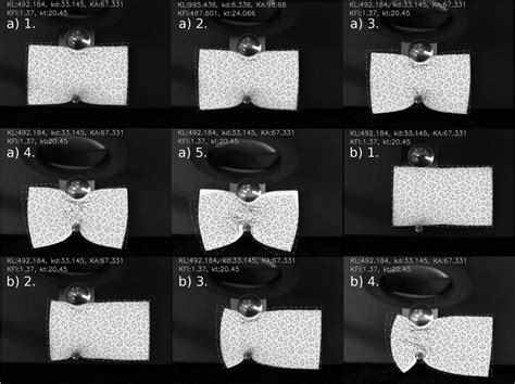 Sequence Taken From A Simulation With The Best Set As Evaluated By A