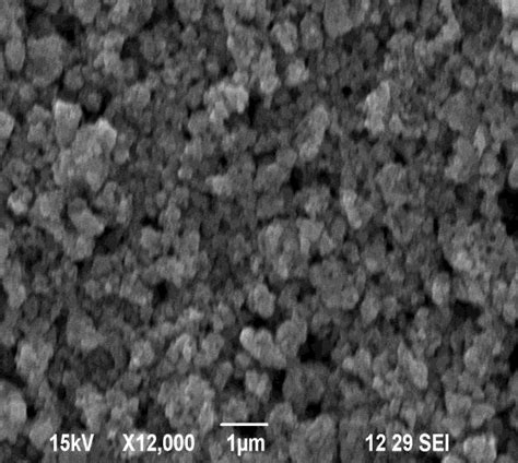 SEM Image Of TiO 2 Film Download Scientific Diagram