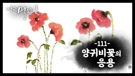 붉은 잎의 매혹 양귀비꽃 Youtube