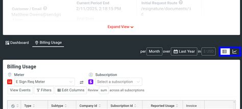 Credit Usage Metrics And Reporting Moesif Docs