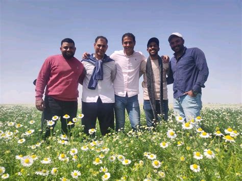 Engmostafa Mohammed Abd Elkader Posted On Linkedin