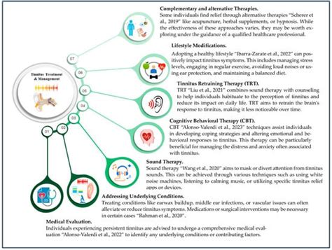 Graph Based Electroencephalography Analysis In Tinnitus Therapy