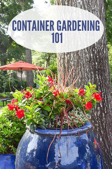 Container Gardening Basics Thrillers Fillers And Spillers · Nourish