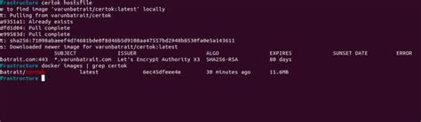 How To Find Expiry Of Ssl Certificates Using Command Line Certok Using Docker Web