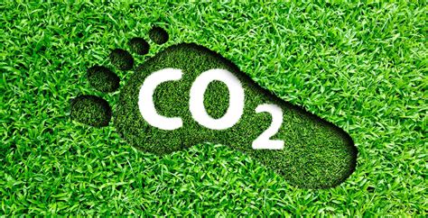 The Role Of Renewable Energy In Reducing Carbon Footprint