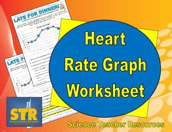 Heart Rate Graph Worksheet By Science Teacher Resources TPT