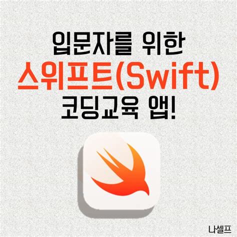 입문자를 위한 스위프트 swift 코딩교육 앱 네이버 블로그