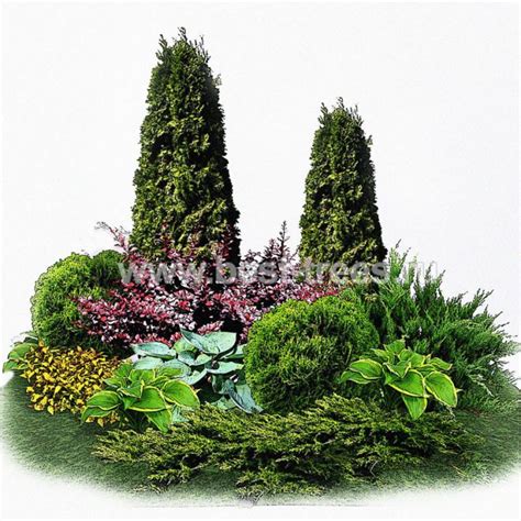 ЛАНДШАФТНЫЙ ДИЗАЙН Идеи для садового дизайна Цветник Сад