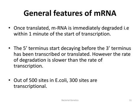 Types And Structure Of Prokaryotic Rna Ppt