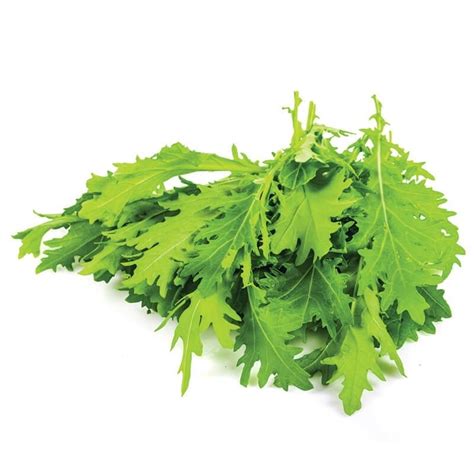 Hardal 150 G Farm Lab Tarım