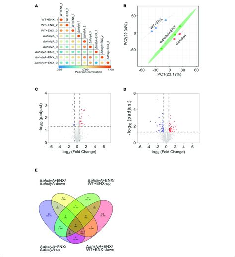 Quantitative Analysis Labeling At Shelley Siegel Blog