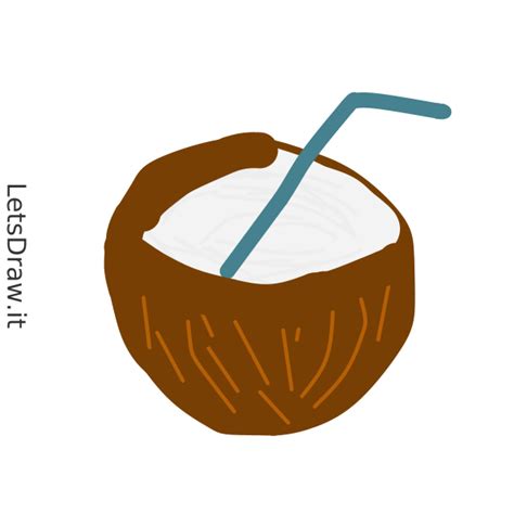 How To Draw Coconut U Fdo A Png LetsDrawIt