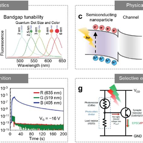 image filtering and pattern classification by synaptic optoelectronic
