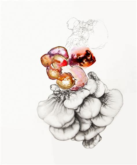 Anomaly Drawings — Laura Stack Art New