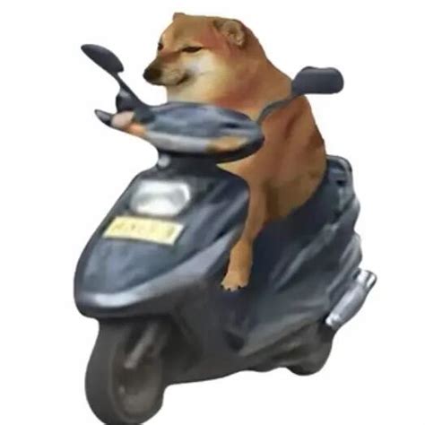 Cheemsdoge合集【2】｜正常人用的表情包（含对比图） 哔哩哔哩