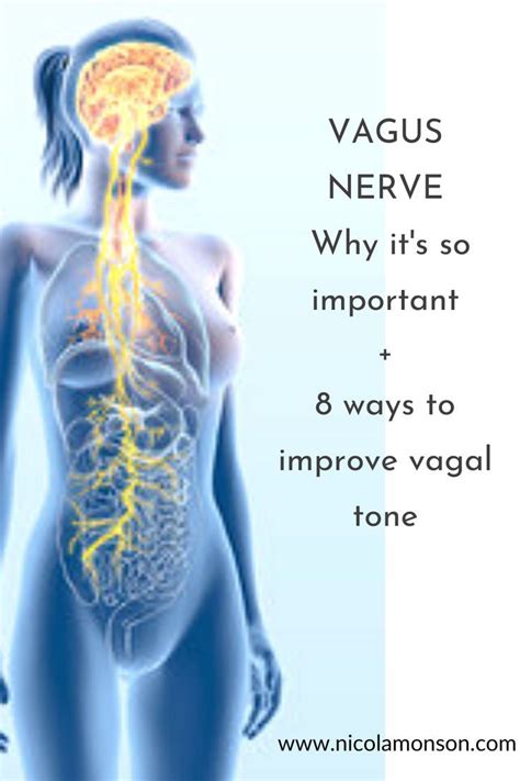 Vagus Nerve Acupressure Points Vagus Nerve Acupressure Points