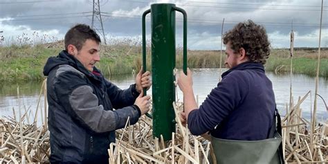 Duck Nest Tubes Are A Quacking Success Basc