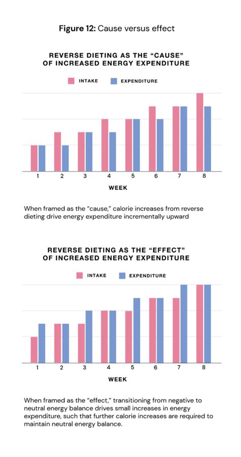 Reverse Dieting Hype Versus Evidence