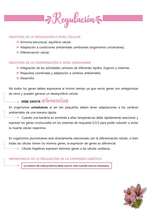 Apuntes Regulación Warning Tt Undefined Function 32 Warning Tt Undefined Function 32