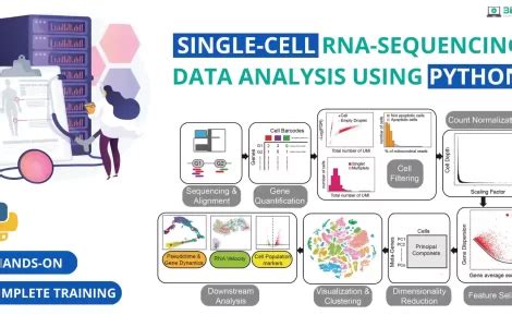 Hands On Single Cell RNA Sequencing Data Analysis Using Python
