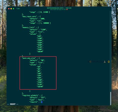 Tăng Php Settings Cho Website Trên Directadmin Đỗ Trung Quân