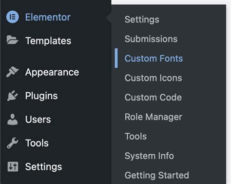 Host Fonts Locally In Elementor WPSimpleFix