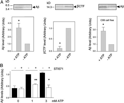 Secretase Cleavage Of App Is Stimulated By Atp And Inhibited By Sti571 Download Scientific