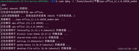ubuntu 21 1安装wps office 2019并解决字体缺失问题教程 ubuntu wps 缺少字体 csdn博客