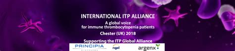 Itp International Global Alliance Meeting 2018 Itp Support Association