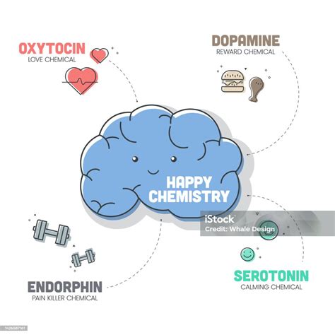 해피 케미스트리 인포그래픽에는 옥시토신 과 같은 4 가지 유형의 화학 호르몬이 있습니다 행복한 화학 물질 개념 프레젠테이션 슬라 도파민에 대한 스톡 벡터 아트 및 기타