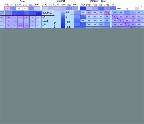 Heatmap Showing Correlation Among Genes Gene Transcripts Download Scientific Diagram