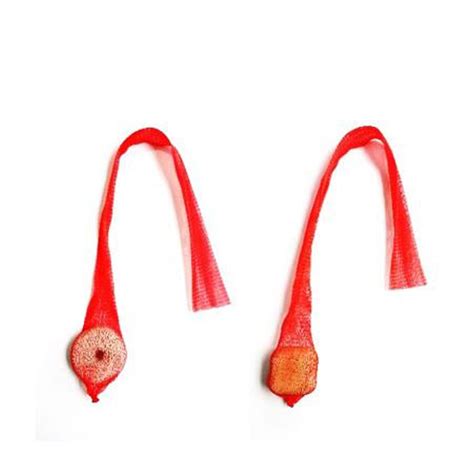 Bulk 100pcs Nylon Netting For Mosquito Dunks And Fourstar Bti Briquets Shopee Singapore