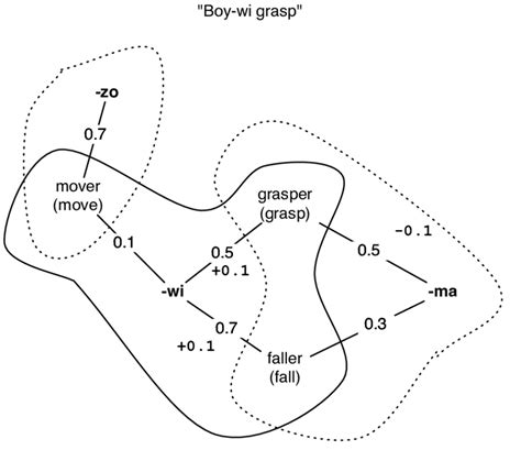 Polysemous Categories Do Not Engage In A One To One Competition But