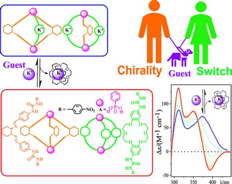 Guest‐facilitated Heteroleptic Assembly Of Helical Anionocages Enables