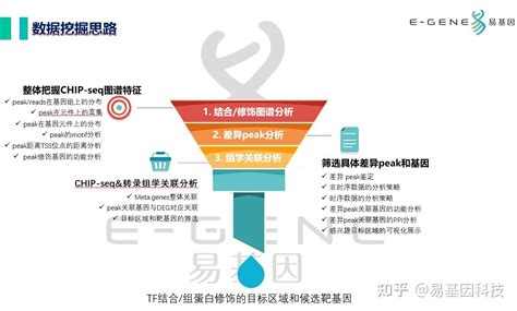 Chip Seq应用领域、研究思路、数据挖掘、下游实验、实验关键 易讲堂 知乎
