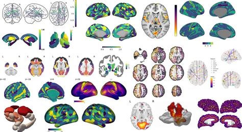 A Practical Guide For Generating Reproducible And Programmatic