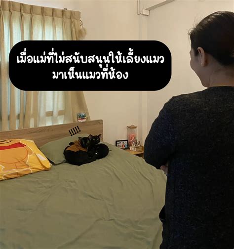 เมื่อแม่ที่ไม่สนับสนุนให้เลี้ยงแมวมาเห็นแมวที่ห้อง แกลเลอรีที่โพสต์โดย Ruby Lemon8