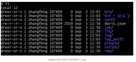 Apache Doris Datax Doriswriter扩展使用方法 阿里云开发者社区