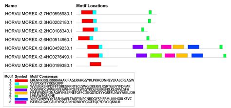 The Barley Gene Families Database
