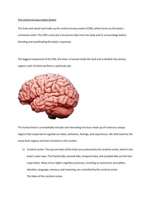 Neuroscience.Science.of - NEUROSCIENCE SCIENCE OF THE BRAIN AN ...