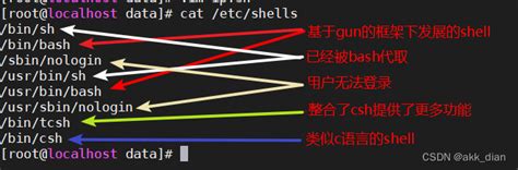 Shell 脚本 、 定向符 与 管道符shell 管道文件 Csdn博客
