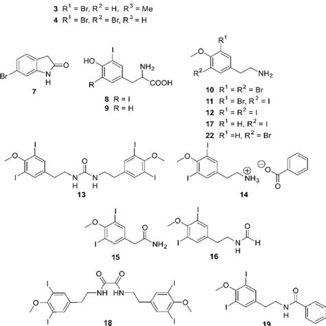 Schematic Diagram Of The Hyphenated LC ICP MS ESI MS Technique Circa Download Scientific