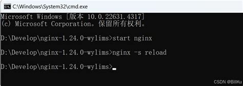 nginx 设置多个代理服务器（nginx多代理） nginx代理多台服务器 csdn博客