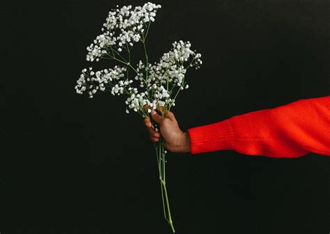 What Makes A Good Designer Client Relationship Bellman