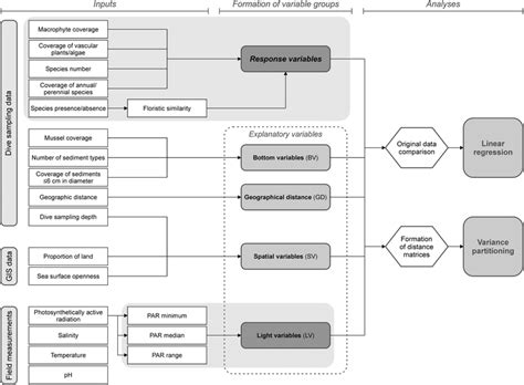 Origins Of The Datasets Formation Of Variable Groups And The Main Download Scientific Diagram