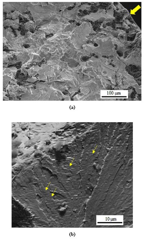 Cgi 500 A Fracture Surface Showing The Initiation Site And B The Download Scientific