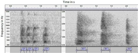 Examples Of The Signal Annotation In Audacity Left Spectrogram Of