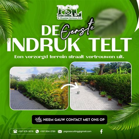 Ps Grass Cutting And Cleaning Services Nv