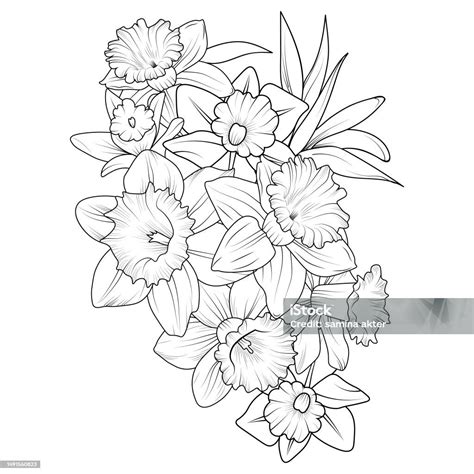 장식적인 양식화된 수선화 꽃 세트는 흰색 배경에 분리되어 있다 매우 상세한 벡터 일러스트레이션 낙서 및 젠탱글 스타일 문신 디자인 꽃 수선화 수선화 꽃 라인 아트 흑백