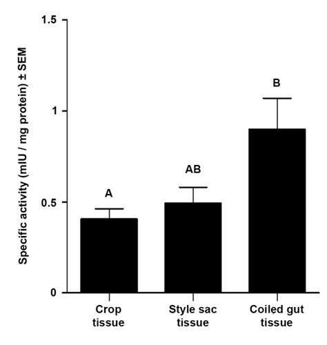 Different Letters Indicate Statistically Significant Differences